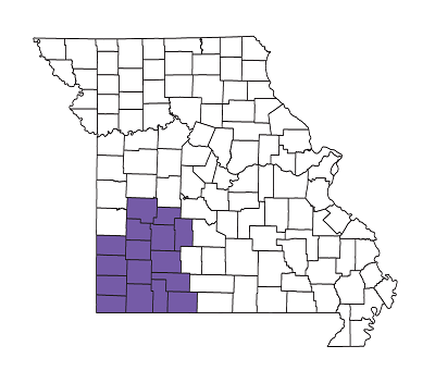 Missouri Electric Rate Update